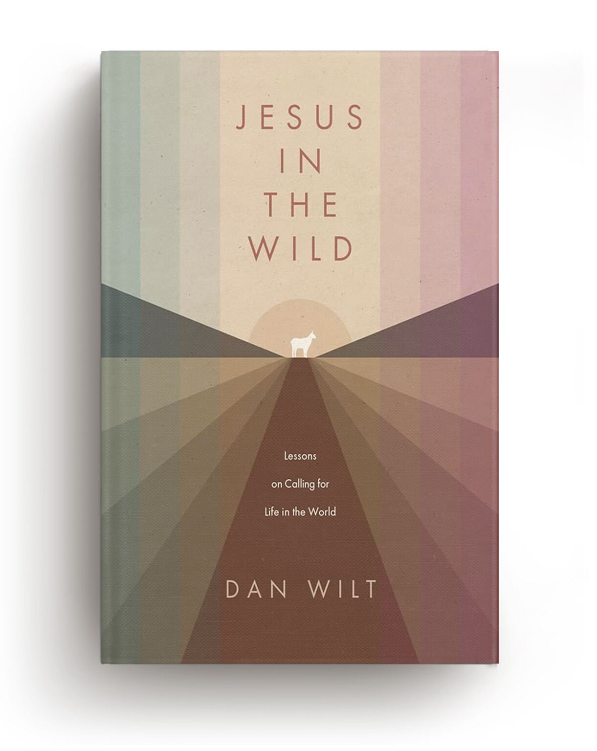 Jesus in the Wild: Lent Audio Series | DanWilt.com